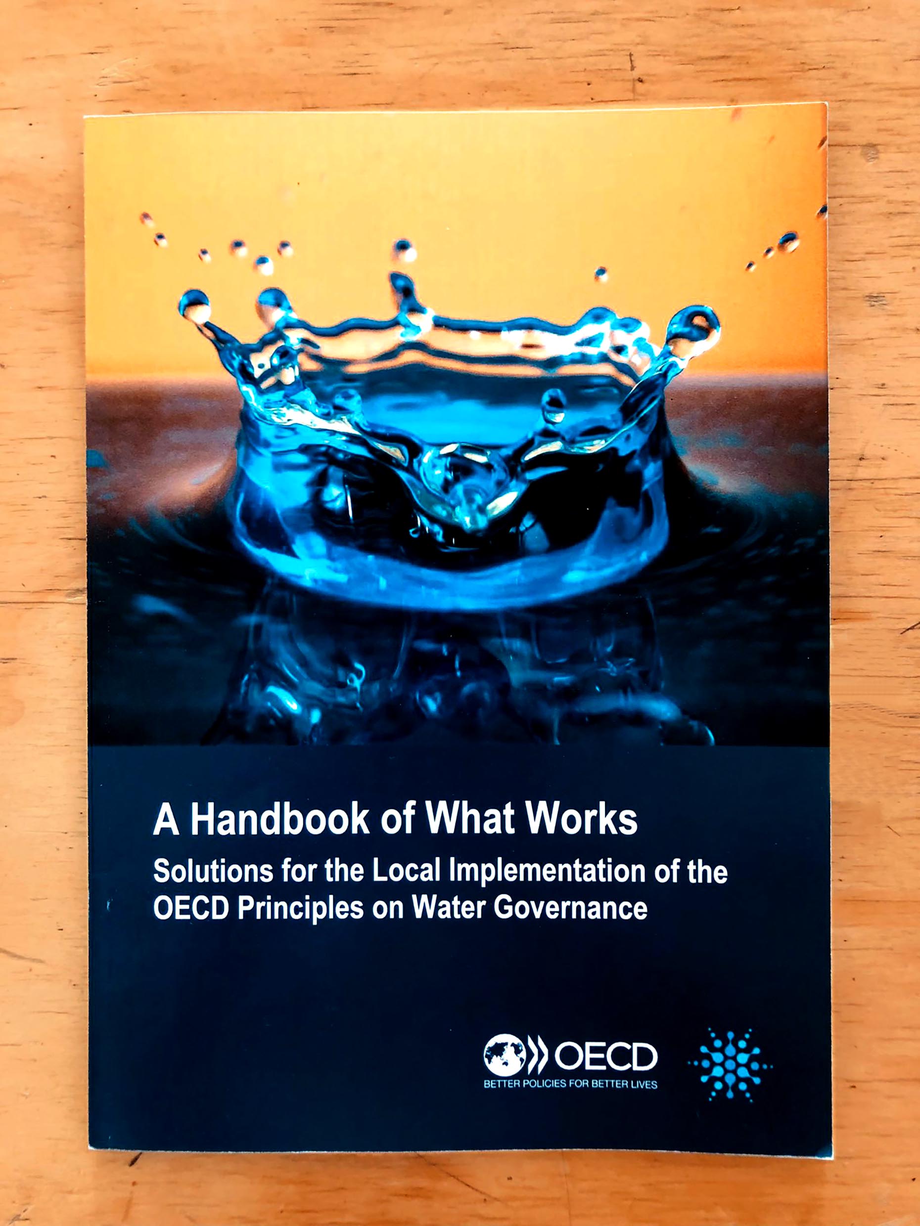 Launch of OECD manual “A Handbook of What Works” @ WWF10